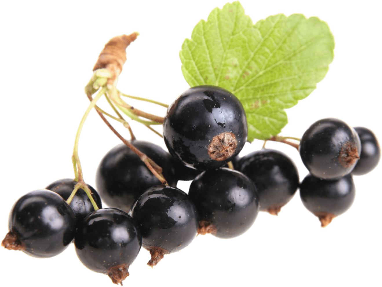 Les Merveilles en Provence